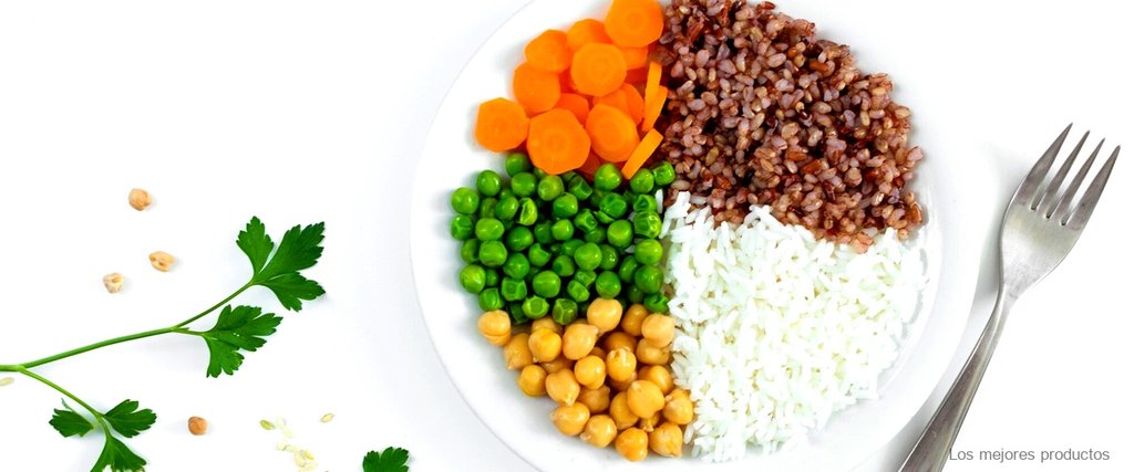 Plato con divisiones para dieta: optimiza tus comidas - UDOE